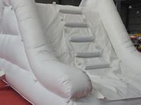 China Indoor and Outdoor Entertainment Toddler Inflatable Water Slide for Commercial Rental for sale