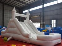 China Indoor and Outdoor Entertainment Toddler Inflatable Water Slide for Commercial Rental for sale