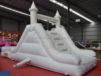 China Indoor and Outdoor Entertainment Toddler Inflatable Water Slide for Commercial Rental for sale