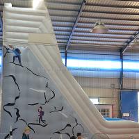 China Large White Snow Mountain Double Slip And Slide Inflatable Water Slide For Adult Size for sale