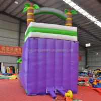 China 5-10 Passenger Capacity 29ft Inflatable Water Slide with Pool CE/EN71/EN14960 Approved for sale
