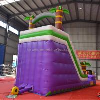 China 5-10 Passenger Capacity 29ft Inflatable Water Slide with Pool CE/EN71/EN14960 Approved for sale