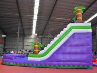 China 5-10 Passenger Capacity 29ft Inflatable Water Slide with Pool CE/EN71/EN14960 Approved for sale