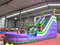 China 5-10 Passenger Capacity 29ft Inflatable Water Slide with Pool CE/EN71/EN14960 Approved for sale