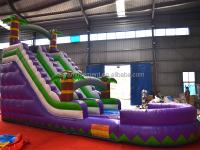 China 5-10 Passenger Capacity 29ft Inflatable Water Slide with Pool CE/EN71/EN14960 Approved for sale