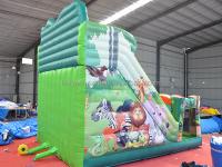 China Indoor and Outdoor Fun 2024 PVC Jungle Animal Double-Lane Inflatable Wet and Dry Slide for sale
