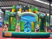 China Indoor and Outdoor Fun 2024 PVC Jungle Animal Double-Lane Inflatable Wet and Dry Slide for sale