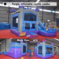 China 14 Years up Age Range Indoor or Outdoor Playground Inflatable Bouncer Castle for Kids for sale