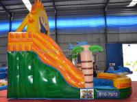 China Double Lane Beach N Sun Inflatable Water Slide Popular Tropical Palm Tree Design for sale