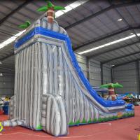 China Digital Printing Commercial Grade PVC Tarpaulin Inflatable Water Slide with Kid Play Pool for sale