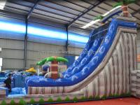 China Digital Printing Commercial Grade PVC Tarpaulin Inflatable Water Slide with Kid Play Pool for sale