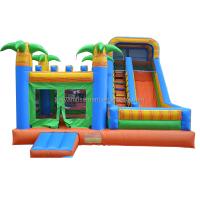 China PVC Customized Inflatable Castle Slide Combination for Trendy Theme Bounce House for sale