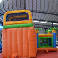 China PVC Customized Inflatable Castle Slide Combination for Trendy Theme Bounce House for sale