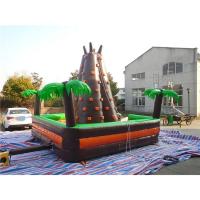 China 0.55mm PVC Tarpaulin Artificial Climbing Wall Great for Sports Activities With Blower for sale