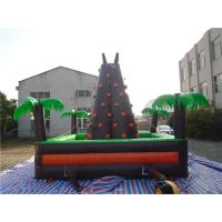 China 0.55mm PVC Tarpaulin Artificial Climbing Wall Great for Sports Activities With Blower for sale