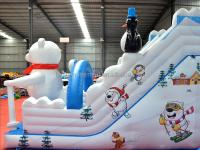 China Customized Color Inflatable Water Slide for Fun at Polar Lake Max Capacity 100-500kg for sale
