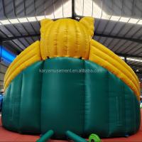China Customized Color PVC Elephant Theme Inflatable Water Park Combo Slide for Playground for sale