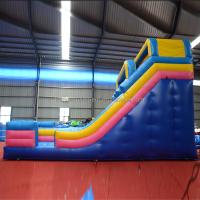 China Digital Printing Commercial Grade PVC Aqua Park 2-Lane Water Slide for Adult and Kids for sale