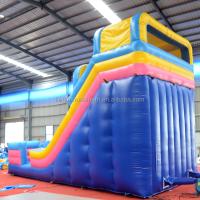 China Digital Printing Commercial Grade PVC Aqua Park 2-Lane Water Slide for Adult and Kids for sale
