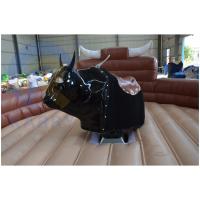 China Experience the Ultimate Challenge with Our Inflatable Mechanical Bull Bullriding Machine for sale