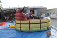 China PORTABLE Inflatable Mechanical Rodeo Bull for Amusement Park Excitement and Adventure for sale