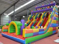 China 19ft Wide 2-Lane Inflatable Building Block Wet and Dry Slide for Kids Park Party Outdoor for sale