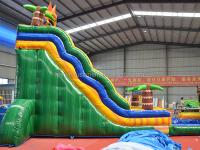 China 32ft Jumbo Palm Tree Inflatable Sun Water Slide with Kids Play Pool and Bounce Slide for sale