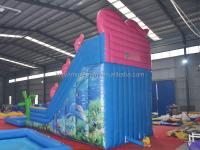 China Backyard Kids Party Trampoline Inflatable Cute Octopus Water Slide and Kids Play Pool for sale