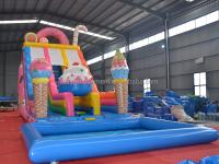 China Commercial Party Rental Water Slide with Children's Paddling Pool in Ice-Cream Pink for sale