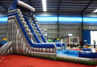 China High Capacity 29ft Commercial Backyard Gray Marble Inflatable Water Slide with Pool for sale