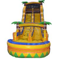China Customized Color Certificate CE/EN71/EN14960 Inflatable Water Jumping Slide with Pool for sale