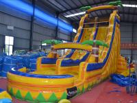 China Customized Color Certificate CE/EN71/EN14960 Inflatable Water Jumping Slide with Pool for sale
