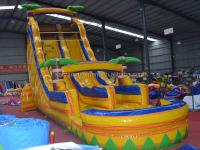 China Customized Color Certificate CE/EN71/EN14960 Inflatable Water Jumping Slide with Pool for sale
