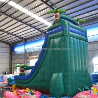 China 29ft Tropical Jump Waterslide Pool Commercial Backyard Big Palm Water Slide with Pool for sale