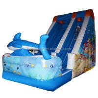 China Experience the Thrill of our Style Inflatable Water Slide with Pool Shipping Worldwide for sale