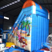 China Experience the Thrill of our Style Inflatable Water Slide with Pool Shipping Worldwide for sale