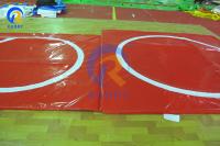 China Customized Size Inflatable Sumo Wrestling Suits Perfect for Kids and Adults to Battle for sale