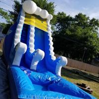 China Spray Blue Water Slide Outdoor Games Large Jumping Slide for Outdoor Fun for sale