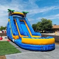 China Max Capacity 100-500kg Adult Palm Tree Inflatable Water Park Equipment with Pool for sale