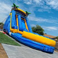 China Max Capacity 100-500kg Adult Palm Tree Inflatable Water Park Equipment with Pool for sale
