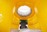 China CE Certificate Commercial Inflatable Whack a Mole Game 4.5m for Interactive Sport Games for sale