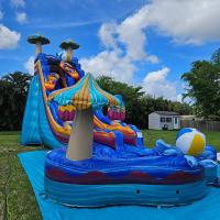China Stimulating Ocean Color Water Slide Games PVC Inflatable with Big Flower-Shaped Pool for sale