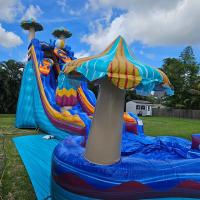 China Stimulating Ocean Color Water Slide Games PVC Inflatable with Big Flower-Shaped Pool for sale