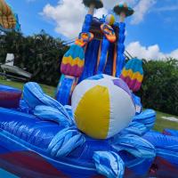 China Stimulating Ocean Color Water Slide Games PVC Inflatable with Big Flower-Shaped Pool for sale