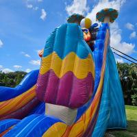 China Stimulating Ocean Color Water Slide Games PVC Inflatable with Big Flower-Shaped Pool for sale