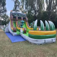 China Unleash Your Imagination Tropical Jungle Dino Theme Water Slide with Splash Pool Fun for sale
