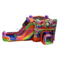 China Unisex Halloween Bounce House with Double Channel Water Slide and Rainbow Inflatable Castle for sale