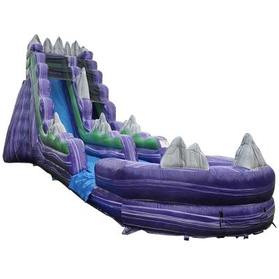 China Digital Printing Rockery Theme Water Slide Inflatable for Indoor and Outdoor Entertainment for sale