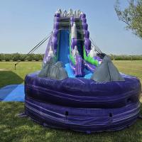 China Digital Printing Rockery Theme Water Slide Inflatable for Indoor and Outdoor Entertainment for sale