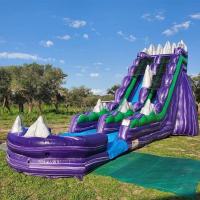 China Digital Printing Rockery Theme Water Slide Inflatable for Indoor and Outdoor Entertainment for sale